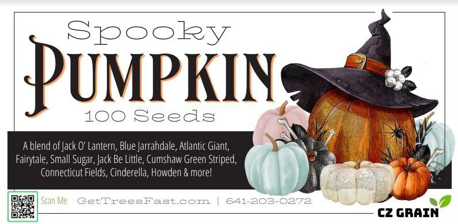 Spooky Blend Growing Garden Pumpkin Seeds for Planting - 100 Mixed ...