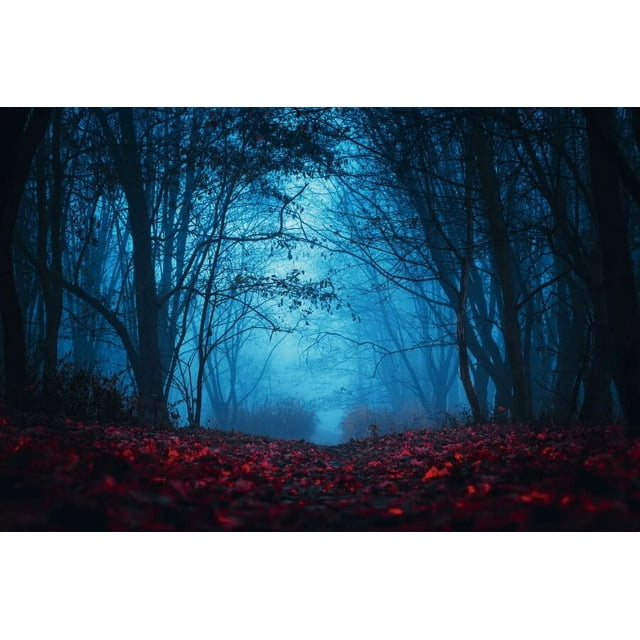 Spooky Forest Photography Background Autumn Scenery Dark Trail Foggy ...