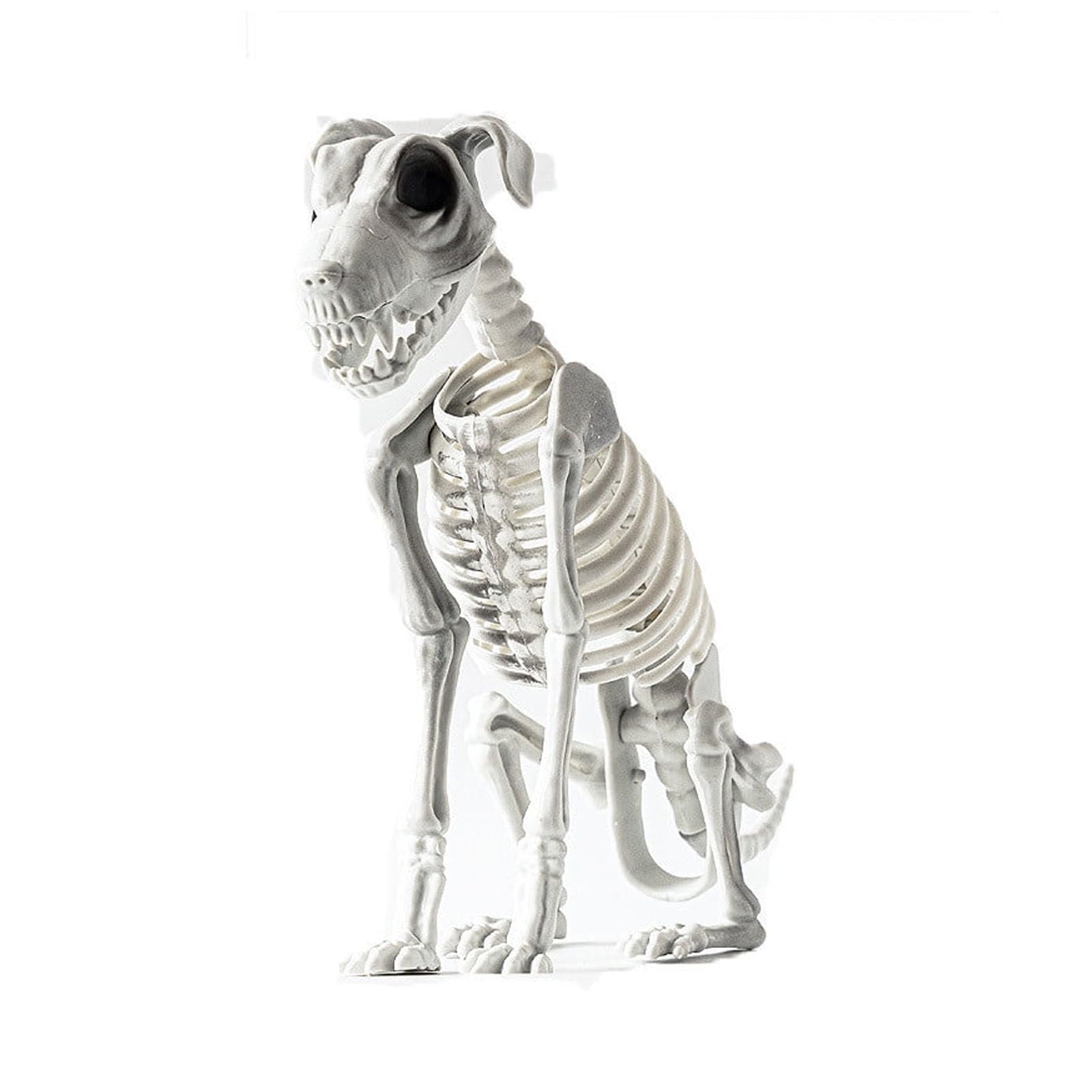 Spooky Halloween Skeleton Decorations Set - Realistic Animal Bones ...