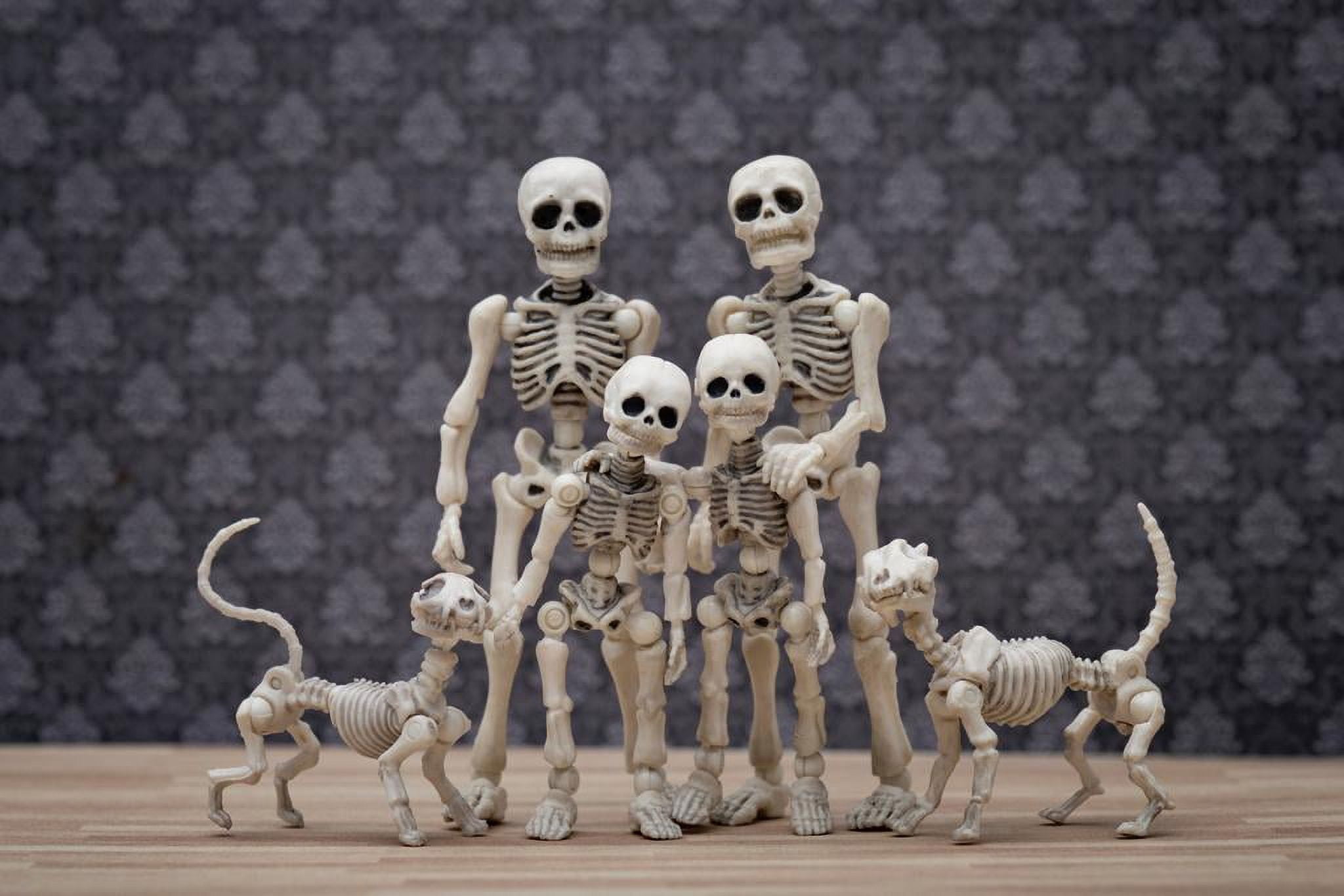 Spooky Skeleton Family Portrait Cool Wall Art Print Poster 24x16 ...