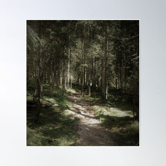 Spooky Vintage Forest Path Poster Wall Art, Modern Wall Decor, 8x12 ...