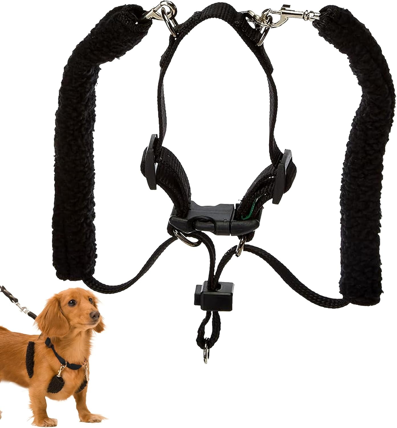 Sporn Original Training Halter, Small Dog Harness No Pull for Small ...
