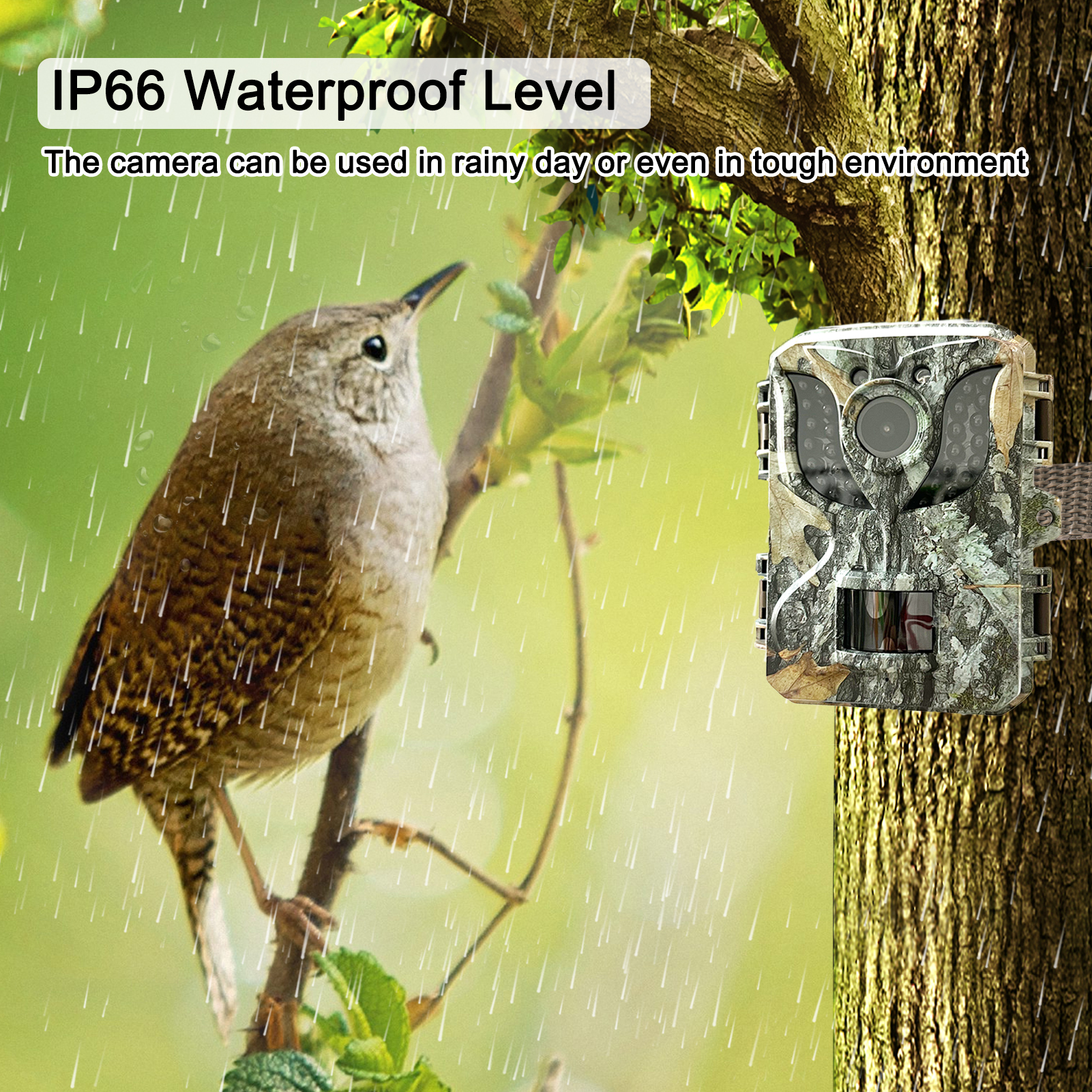 Sport Camera,Infrared Vision Camera Waterproof Camera Camera Waterproof ...