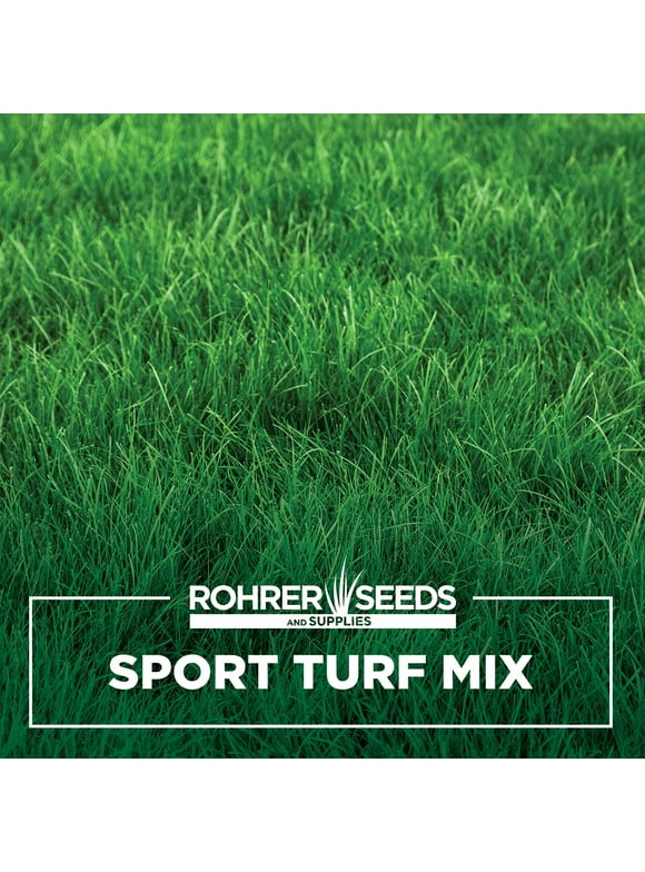 Ryegrass Seed in Grass Seed & Sod - Walmart.com