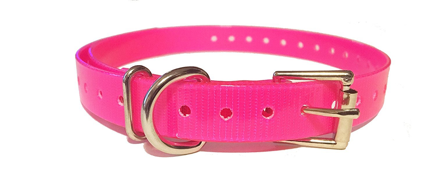 SportDOG Compatible 3/4 Inch Dog Roller Buckle Collar Straps - 8 Colors ...