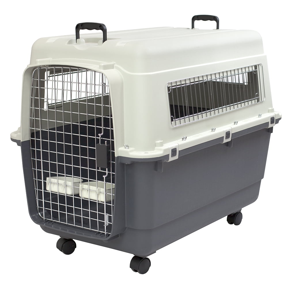 SportPet Designs Plastic Kennel for Dogs, Wire Door, IATA Airline ...