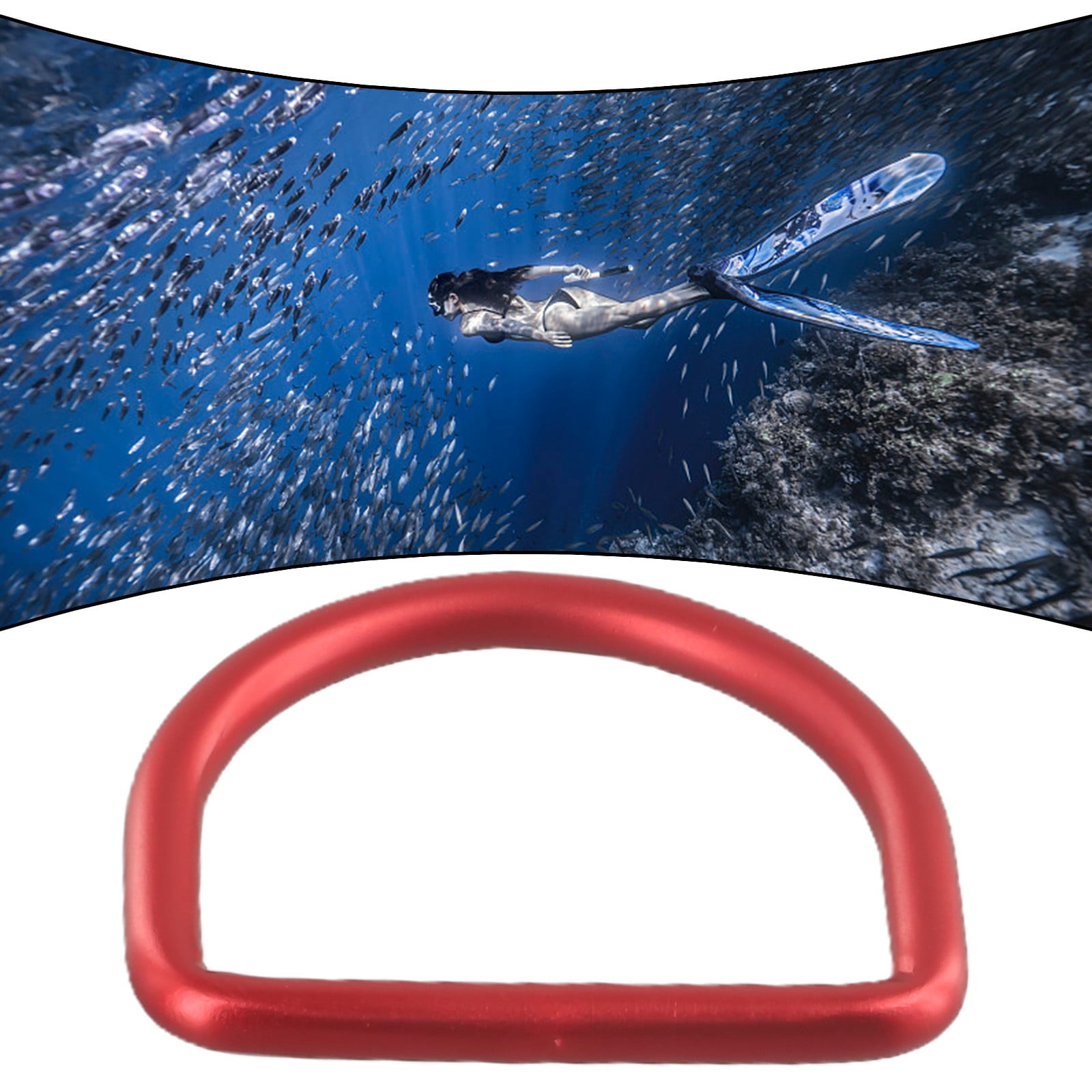 Sportact Scuba Diving D Ring Weight Belt Keeper D-Ring Backpack Stopper ...