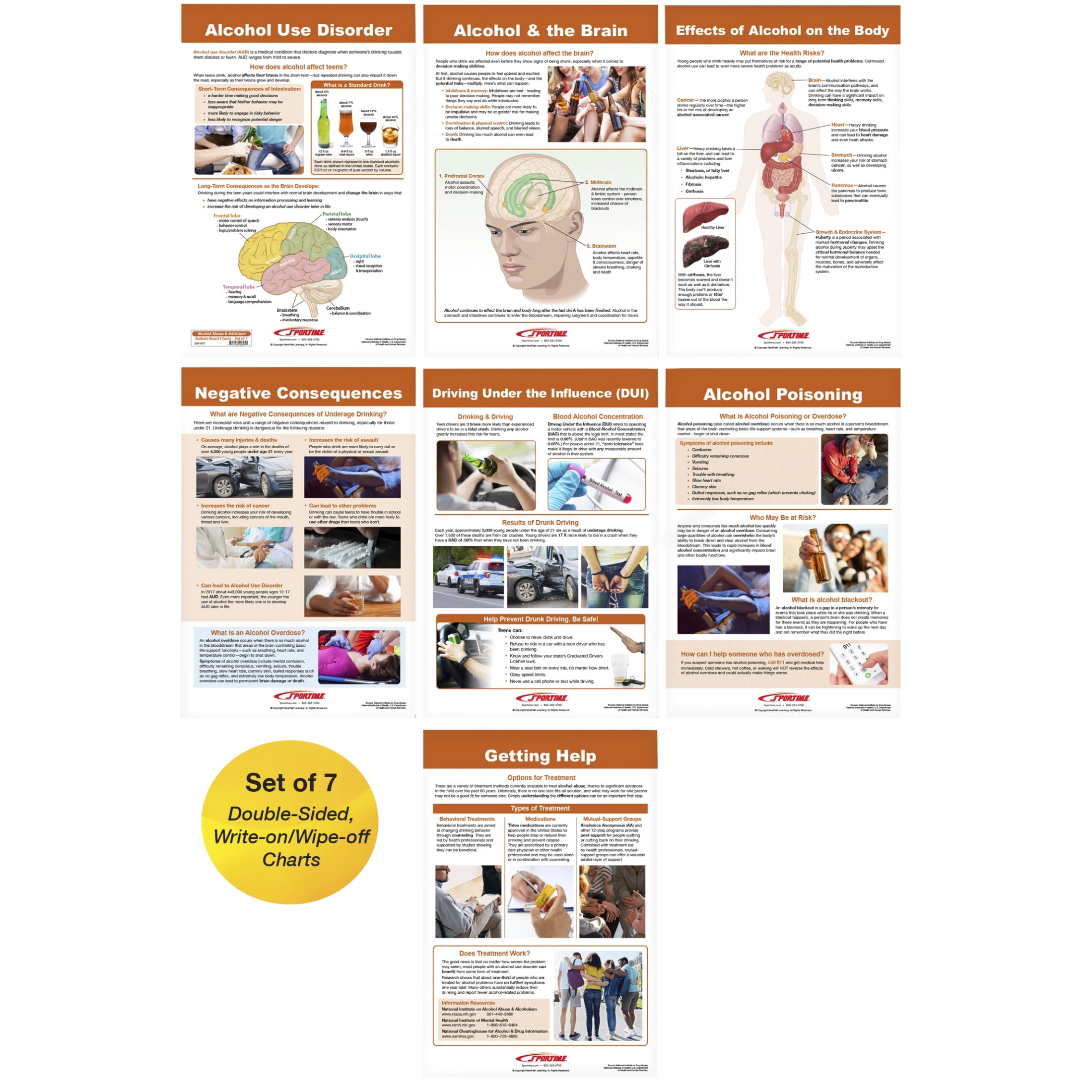 Sportime Alcohol Abuse and Addiction Bulletin Board Charts, Set of 7 ...