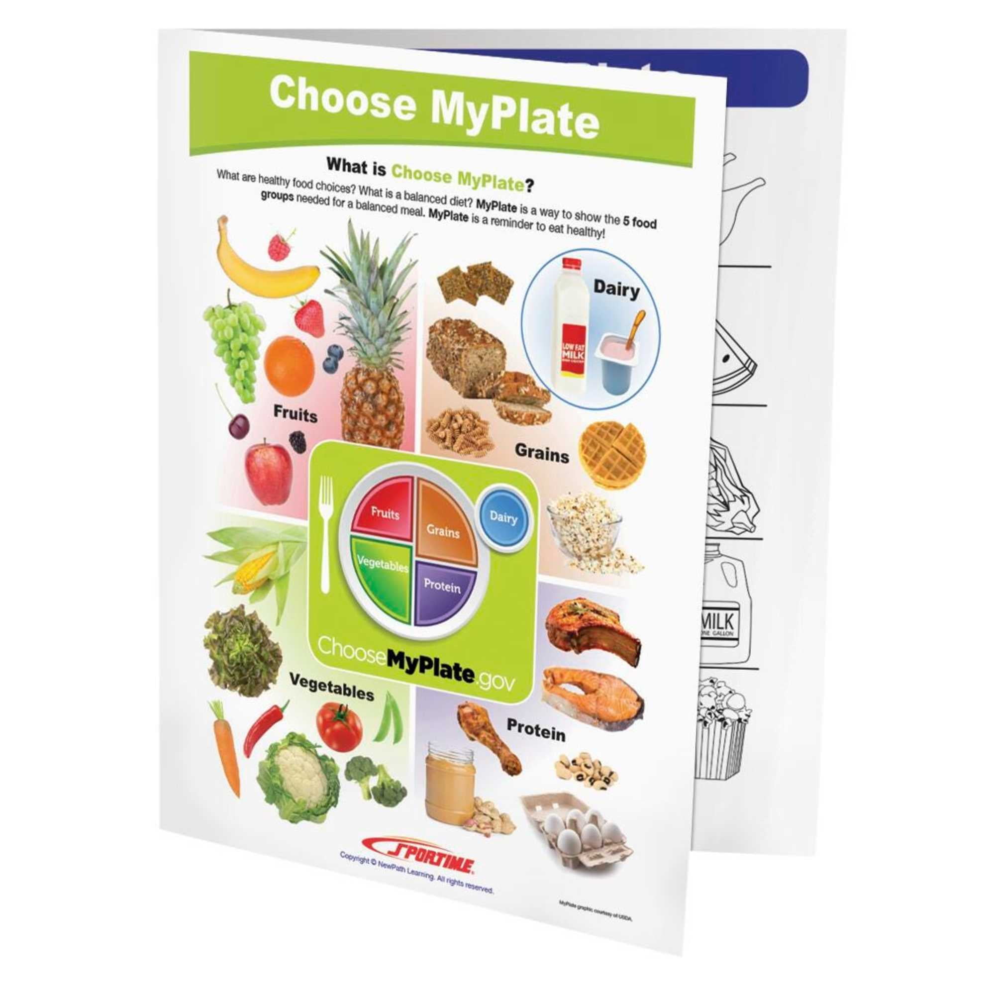 Sportime Choose MyPlate Visual Learning Guide, 4 Pages, Grades 1 to 4 ...