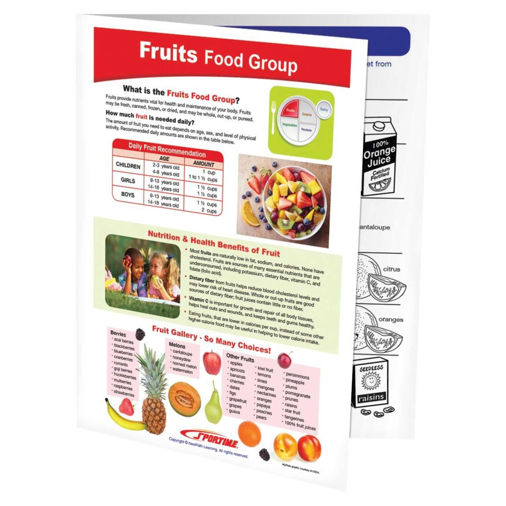 Sportime Fruits Food Group Visual Learning Guide, 4 Pages, Grades 5 to ...