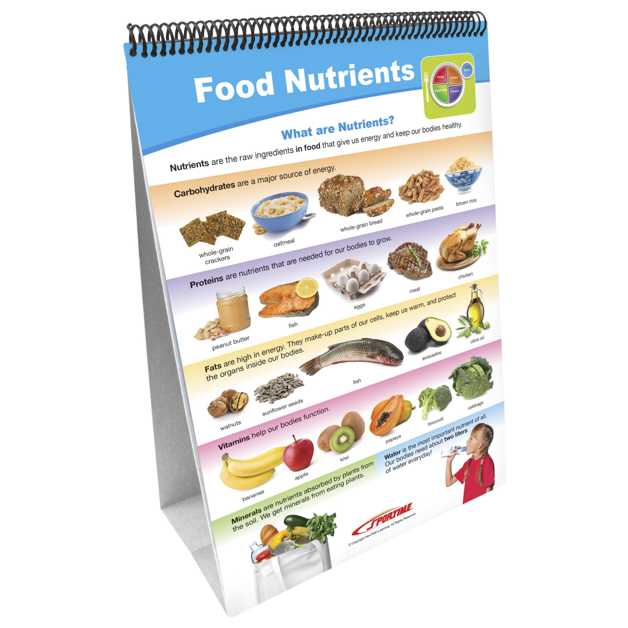 Sportime MyPlate Food Groups Flip Charts, Grades 1 to 4, Set of 10 ...