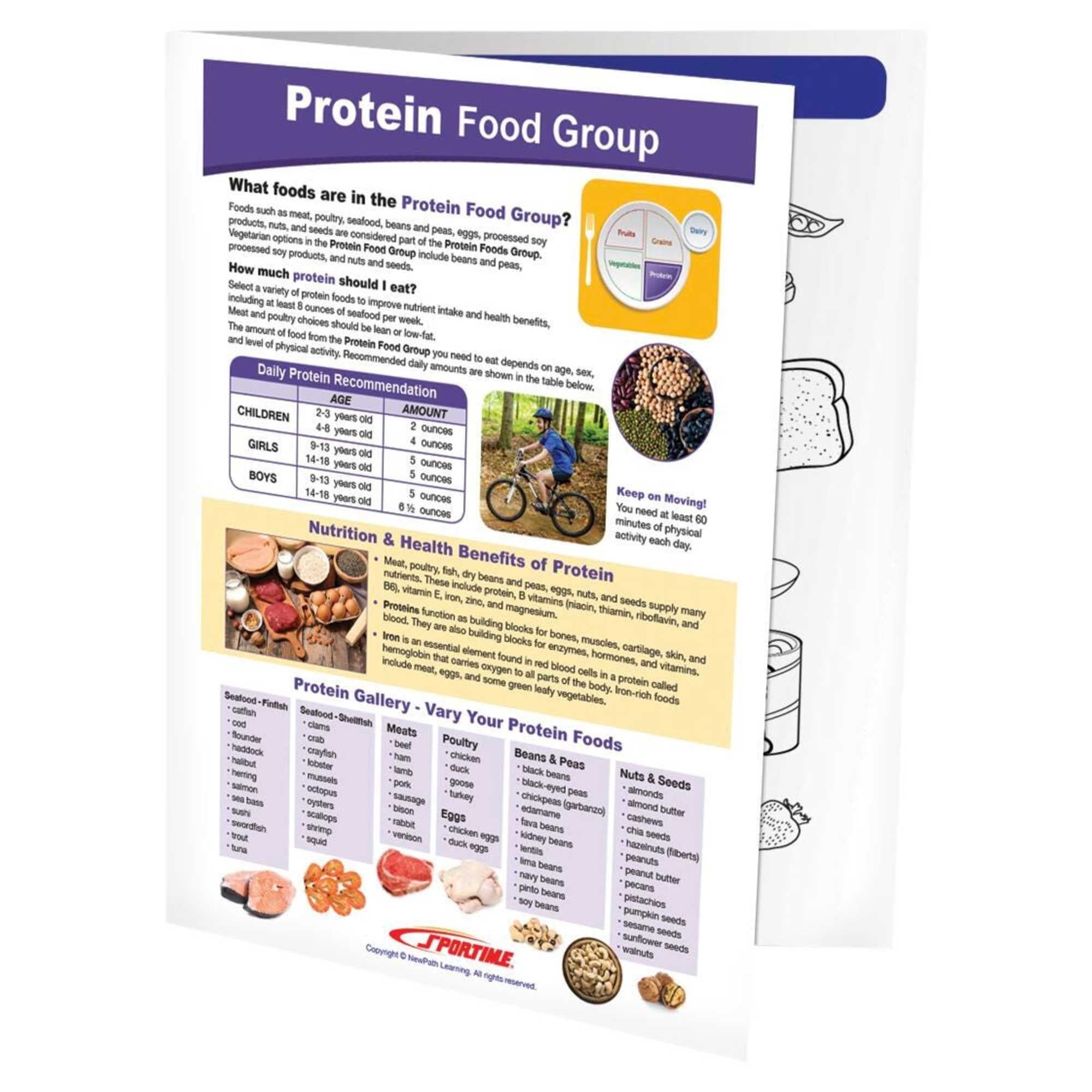Sportime Protein Food Group Visual Learning Guide, 4 Pages, Grades 5 to ...