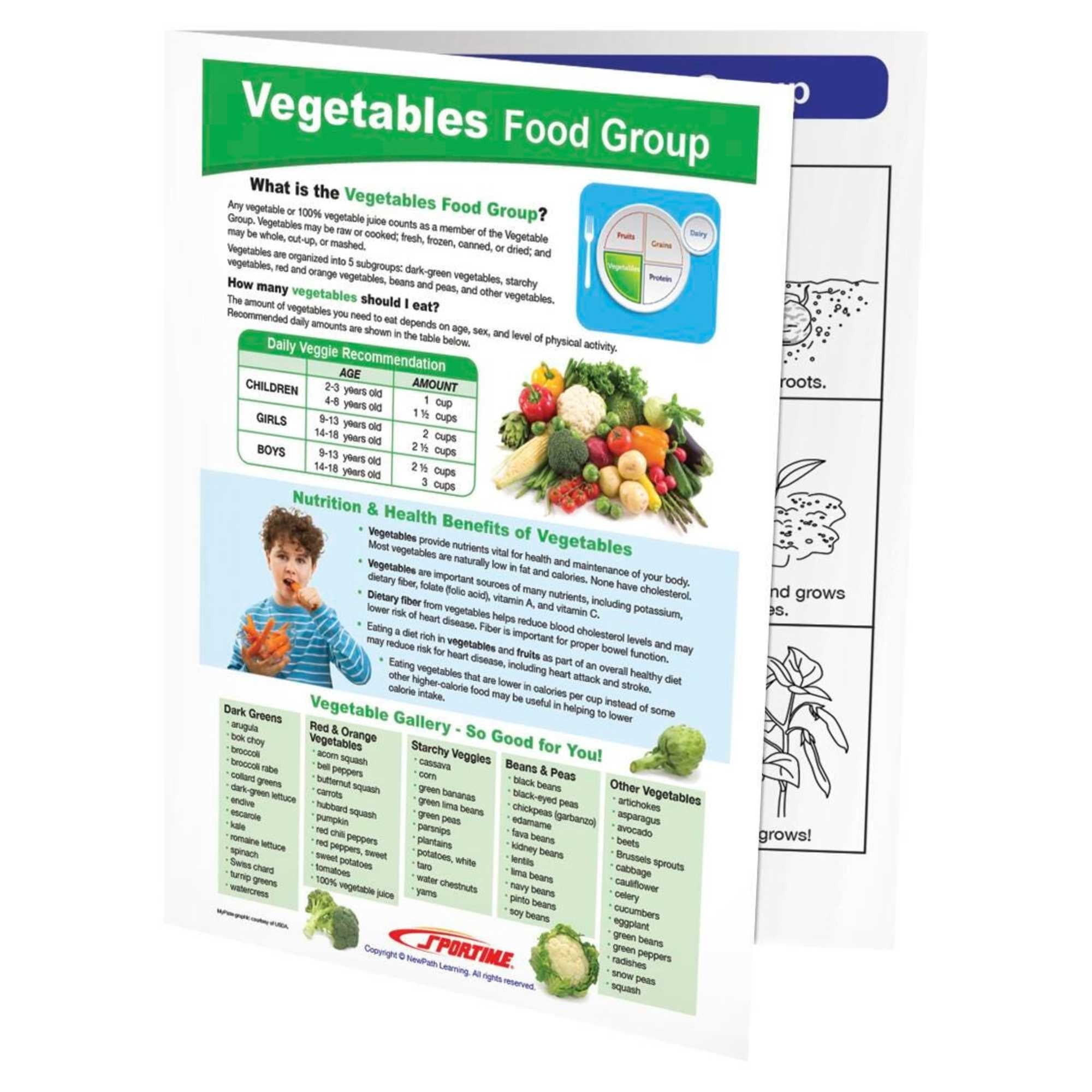 Sportime Vegetables Food Group Visual Learning Guide, 4 Pages, Grades 5 ...
