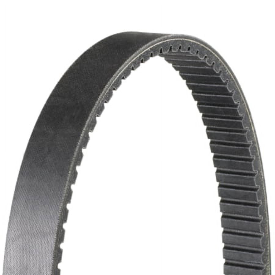 Sportline Recreational Vehicle Belt - Walmart.com