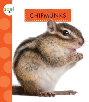 Pre-Owned Chipmunks (Library Binding) 1681515423 9781681515427 - Walmart.com