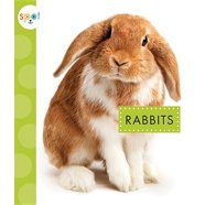 Pet Friendly: Dwarf & Mini Rabbits. (Paperback) - Walmart.com