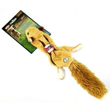 Squirrel Dog Toy
