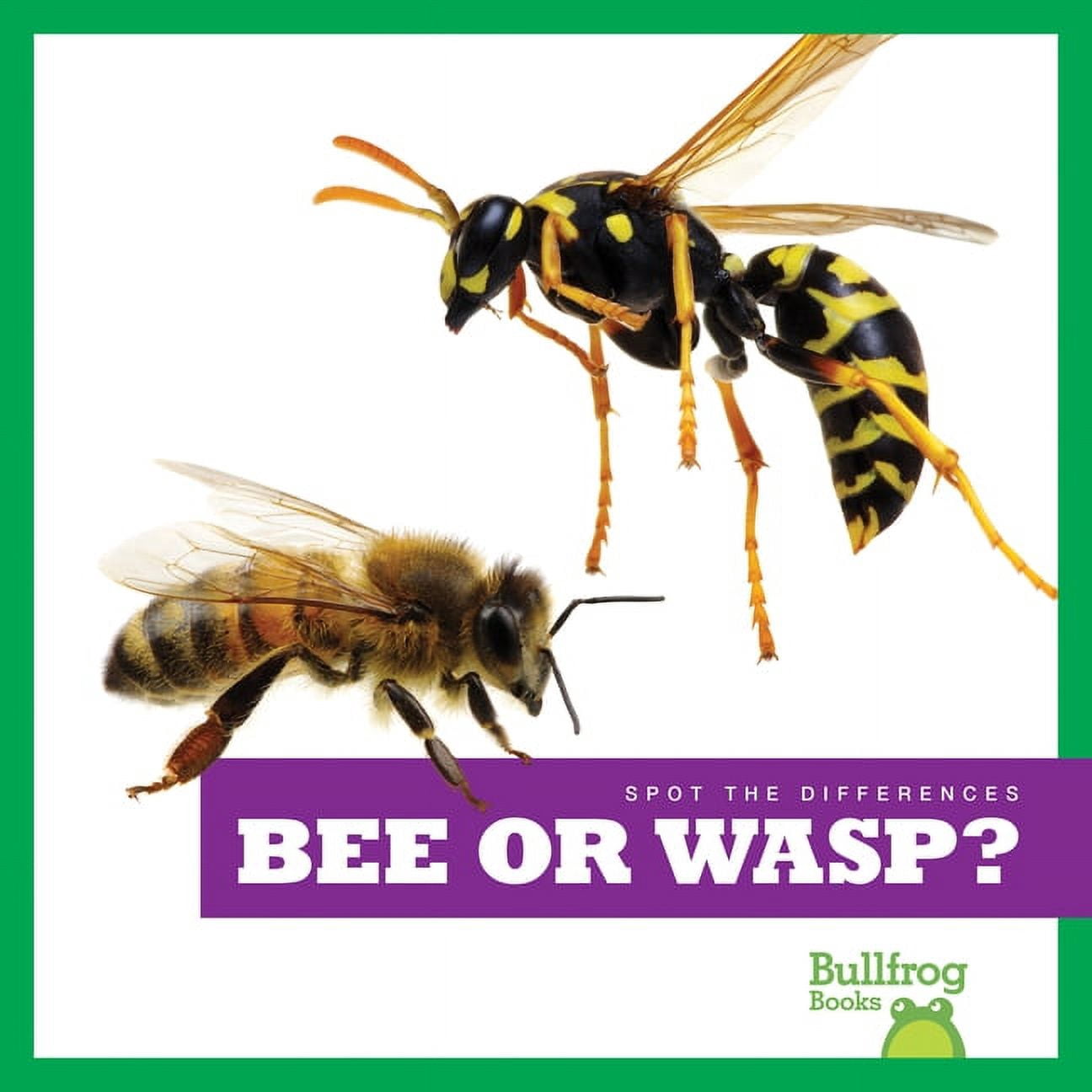 Spot the Differences Bee or Wasp?, (Paperback) - Walmart.com