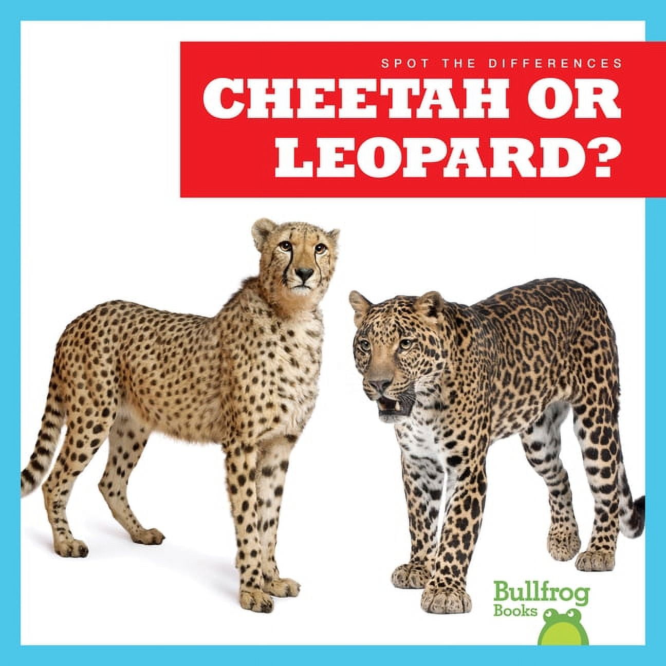 Spot the Differences Cheetah or Leopard?, (Hardcover) - Walmart.com