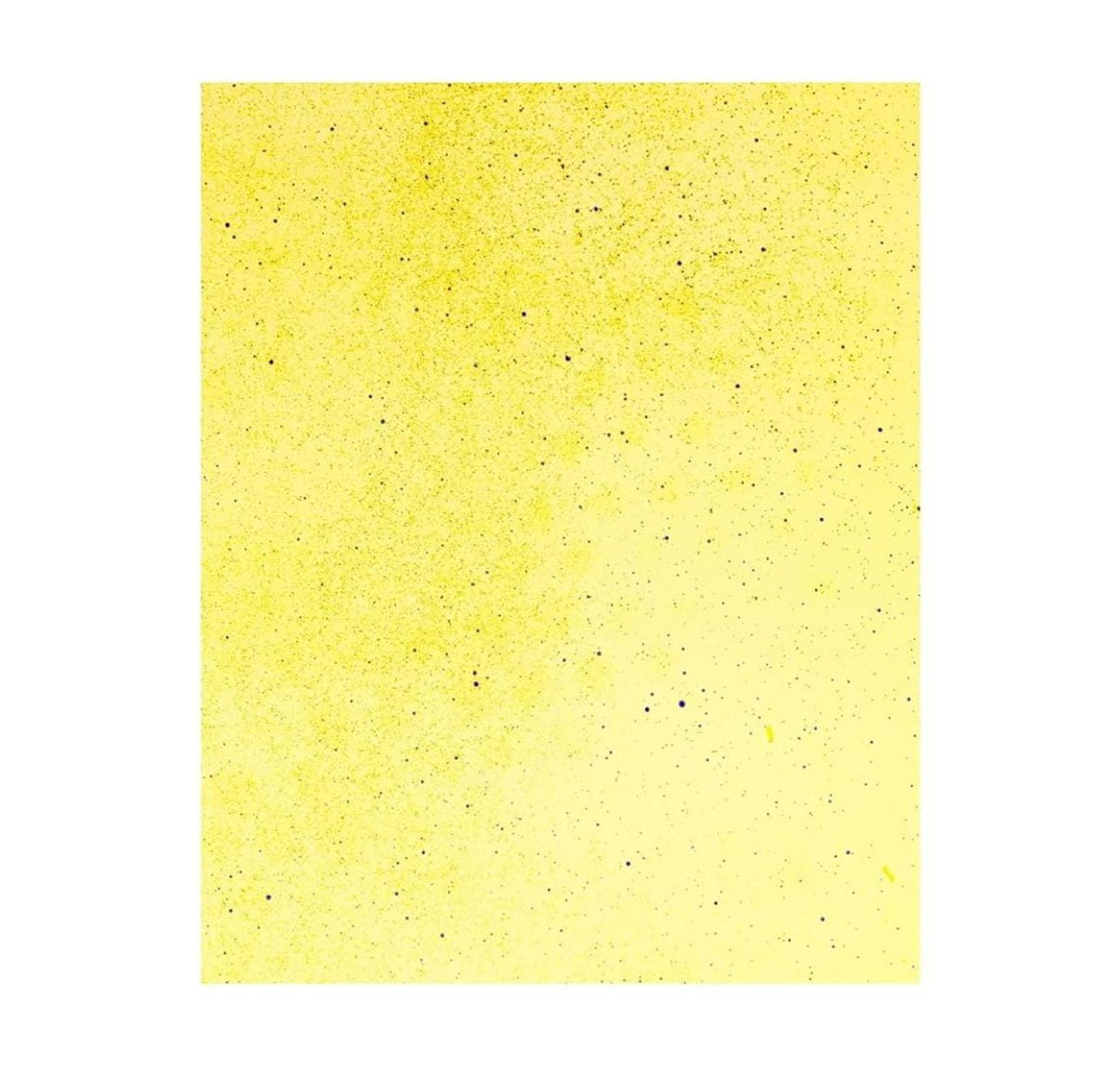 SpotOn Water Sensitive Paper (WSP) for Sprayer Calibration - One Pack ...