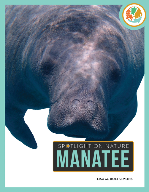 Spotlight on Nature Manatee, (Hardcover) - Walmart.com