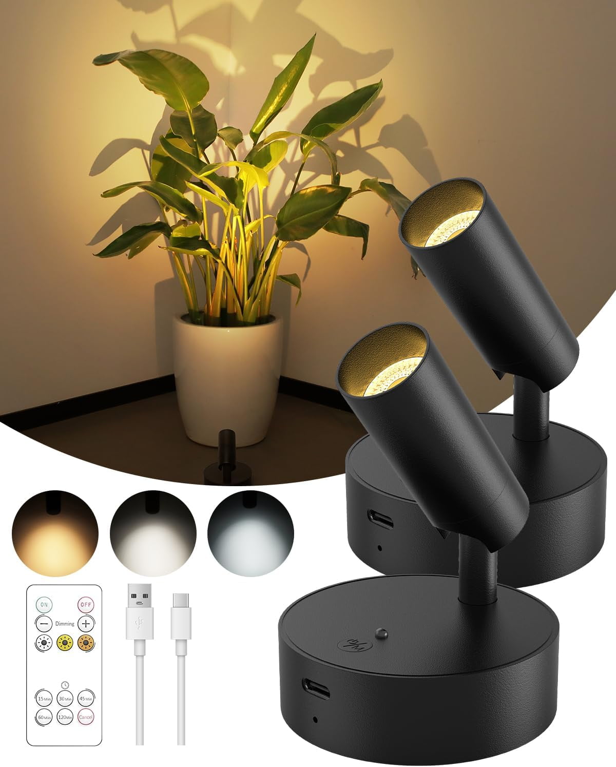 Spotlights Indoor with Remote, 3000mAh Rechargeable Battery Plant ...