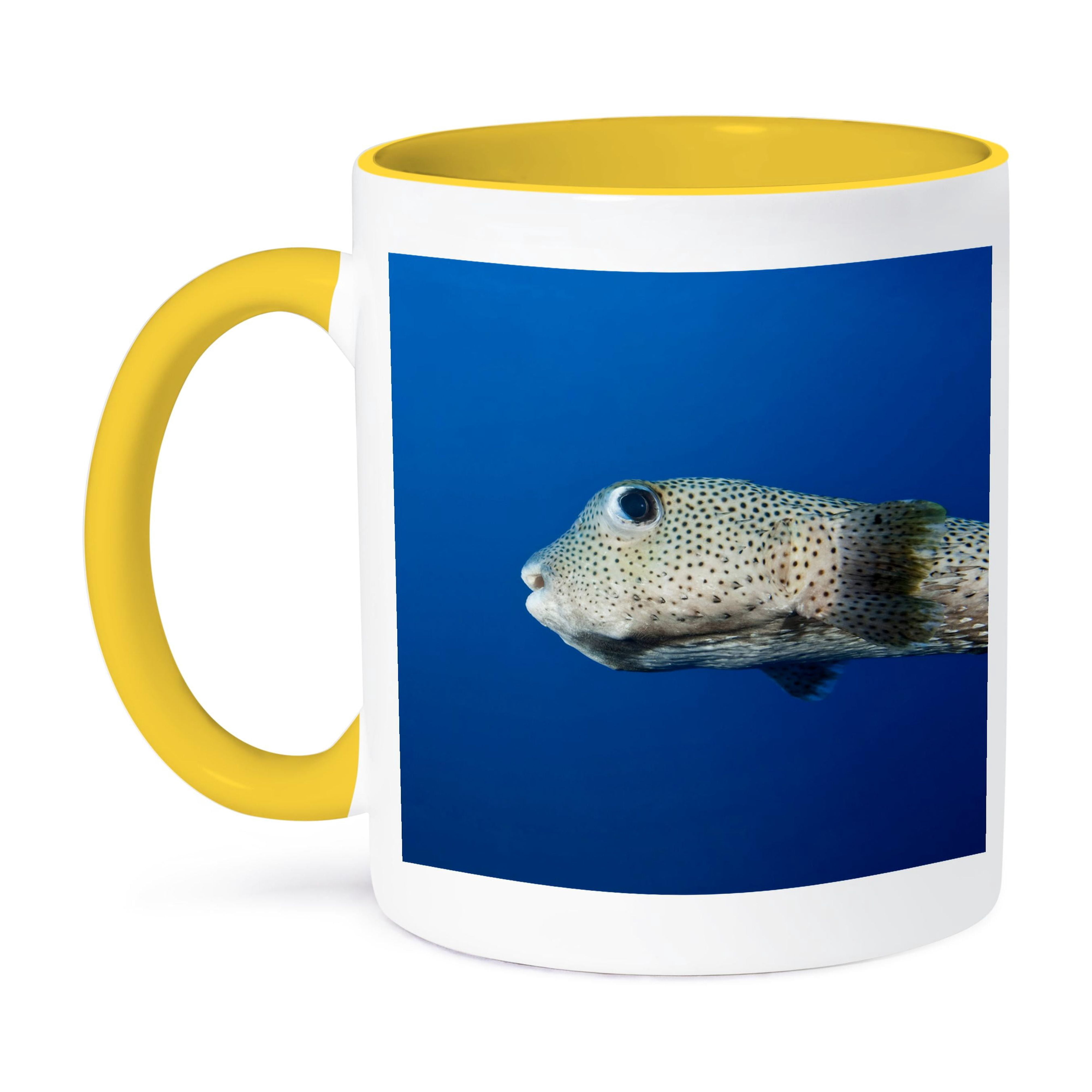 Spotted Puffer Fish, Bay Islands, Honduras - Sa12 Sws0129 - Stuart ...