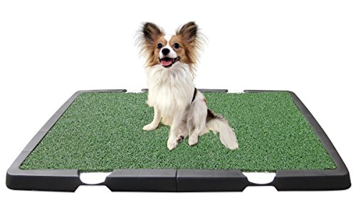 Spotty Indoor Potty Pad, House Training Pet Puppy Dog Artificial Grass ...