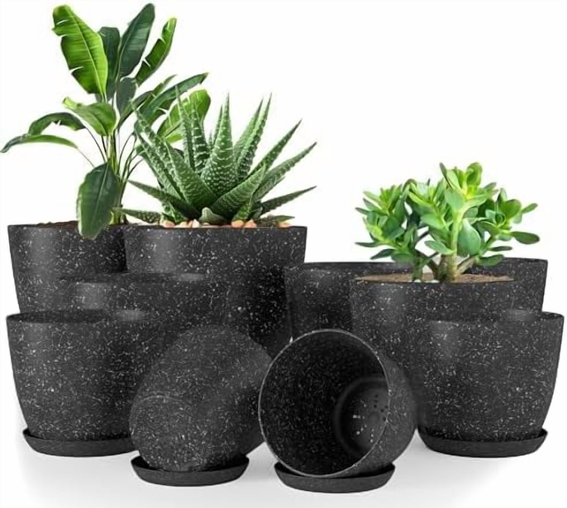 - Spotty Plant Pots Indoor with Drainage - 7/6.6/6/5.3/4.8 Inches ...