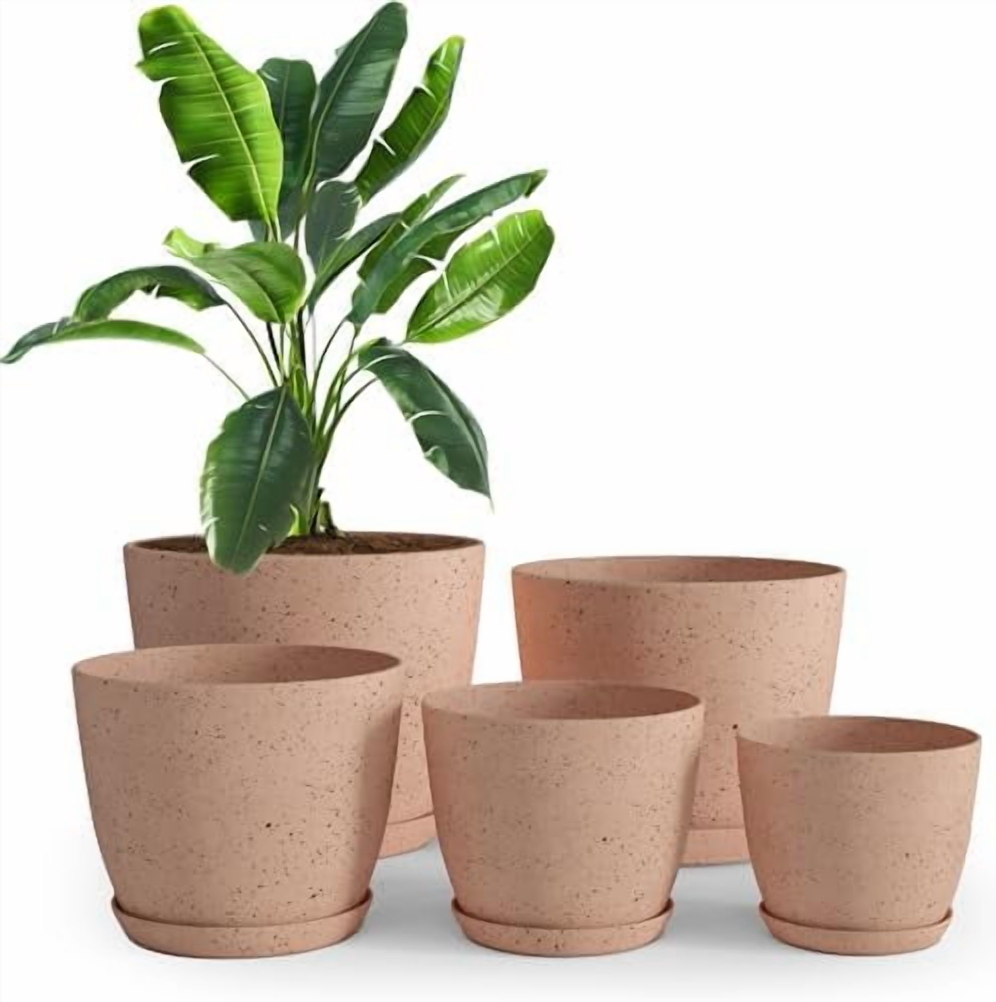 - Spotty Plant Pots Indoor with Drainage - 7/6.6/6/5.3/4.8 Inches ...