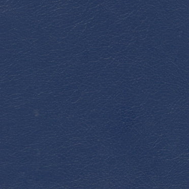 Spradling Pegasus PEG-1616 Vinyl Fabric Sand Dollar SAMPLE 3" x 3 ...