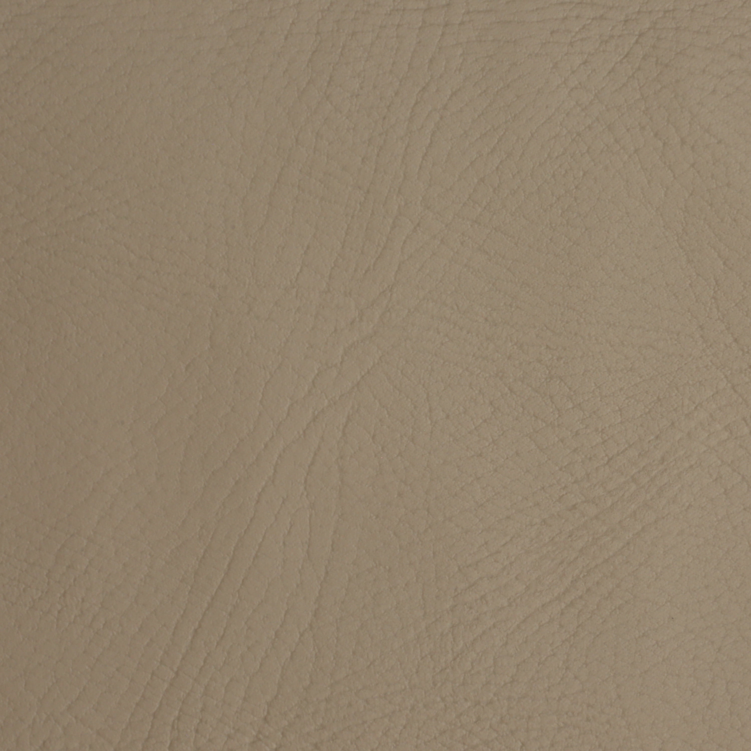 Spradling Pegasus PEG-1616 Vinyl Fabric Sand Dollar SAMPLE 3" x 3 ...