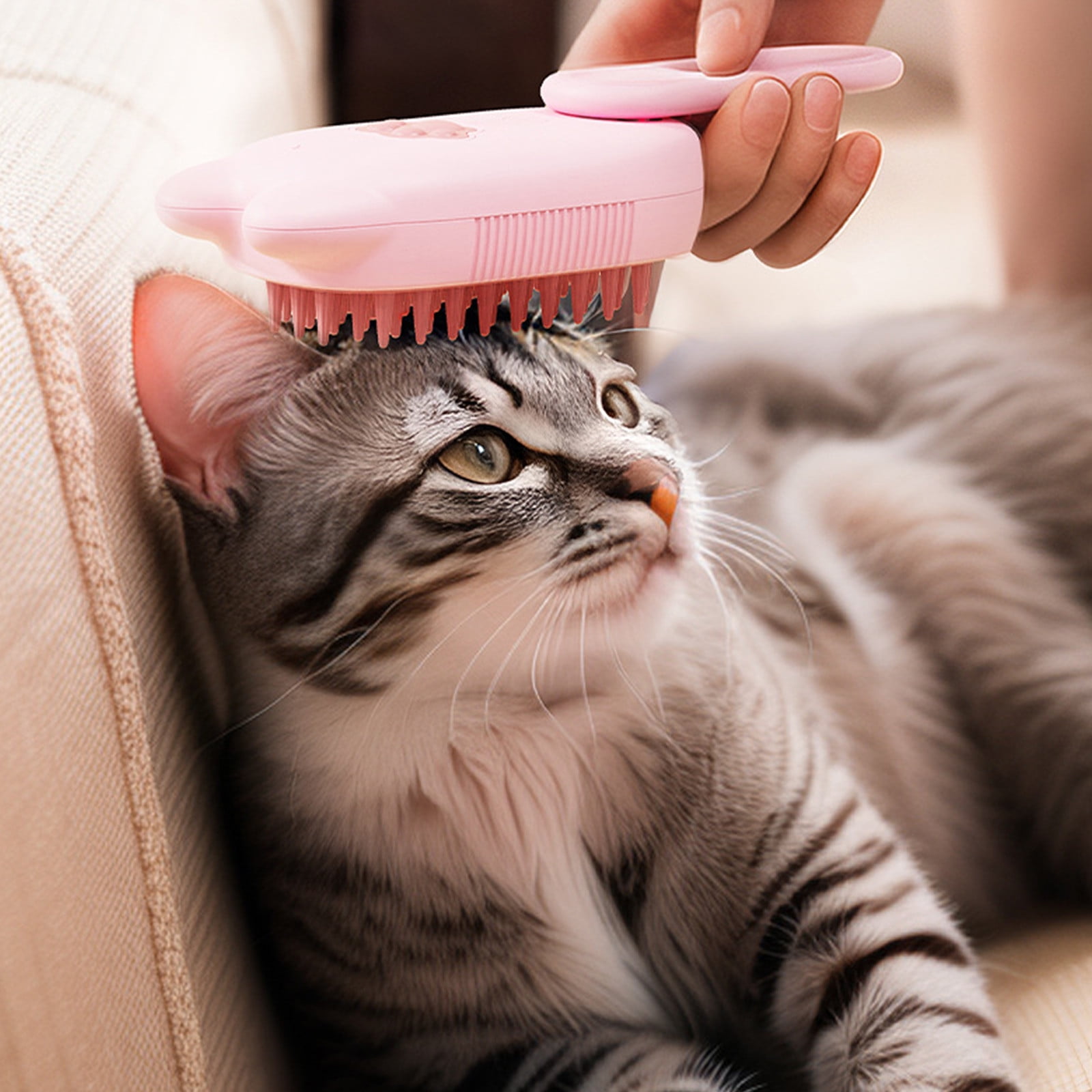 Spray Comb For Cats, Steamy Brush For Pets, Steamy Cat Brush - 3 In1 ...