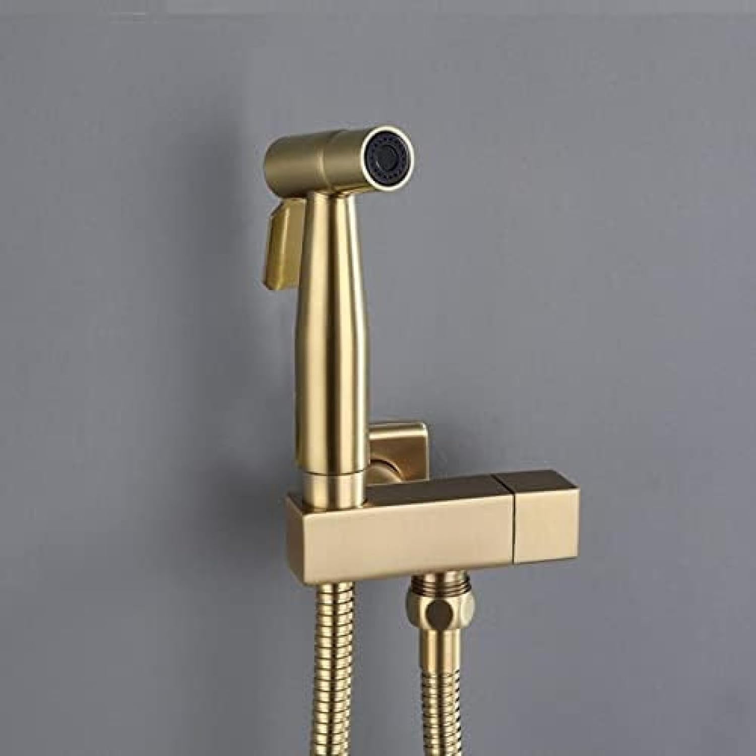 Sprayer Kit for Toilet Multifunctional GoldenTap Sprayer Wall Mounted ...