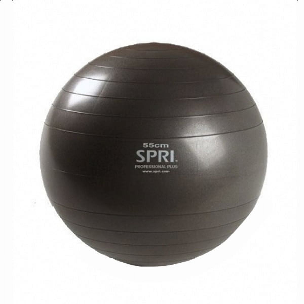 Spri Professional Plus Xercise Ball - 55cm - Slate - Walmart.com
