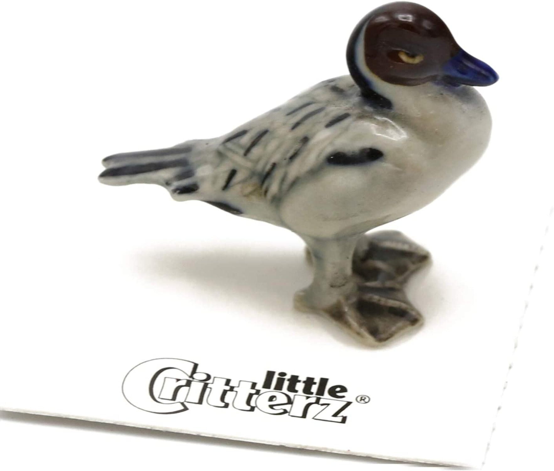 "Sprig" Pintail Duck - LC523 - Walmart.com