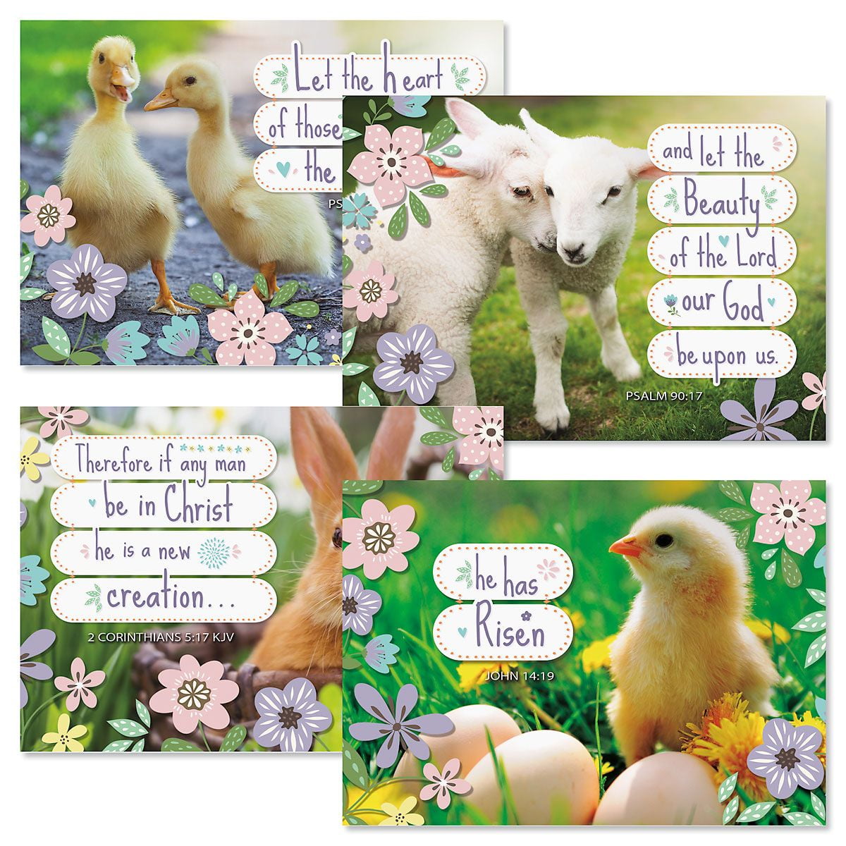 Spring Babies Easter Faith Greeting Cards - Set of 8 (4 designs), Large ...
