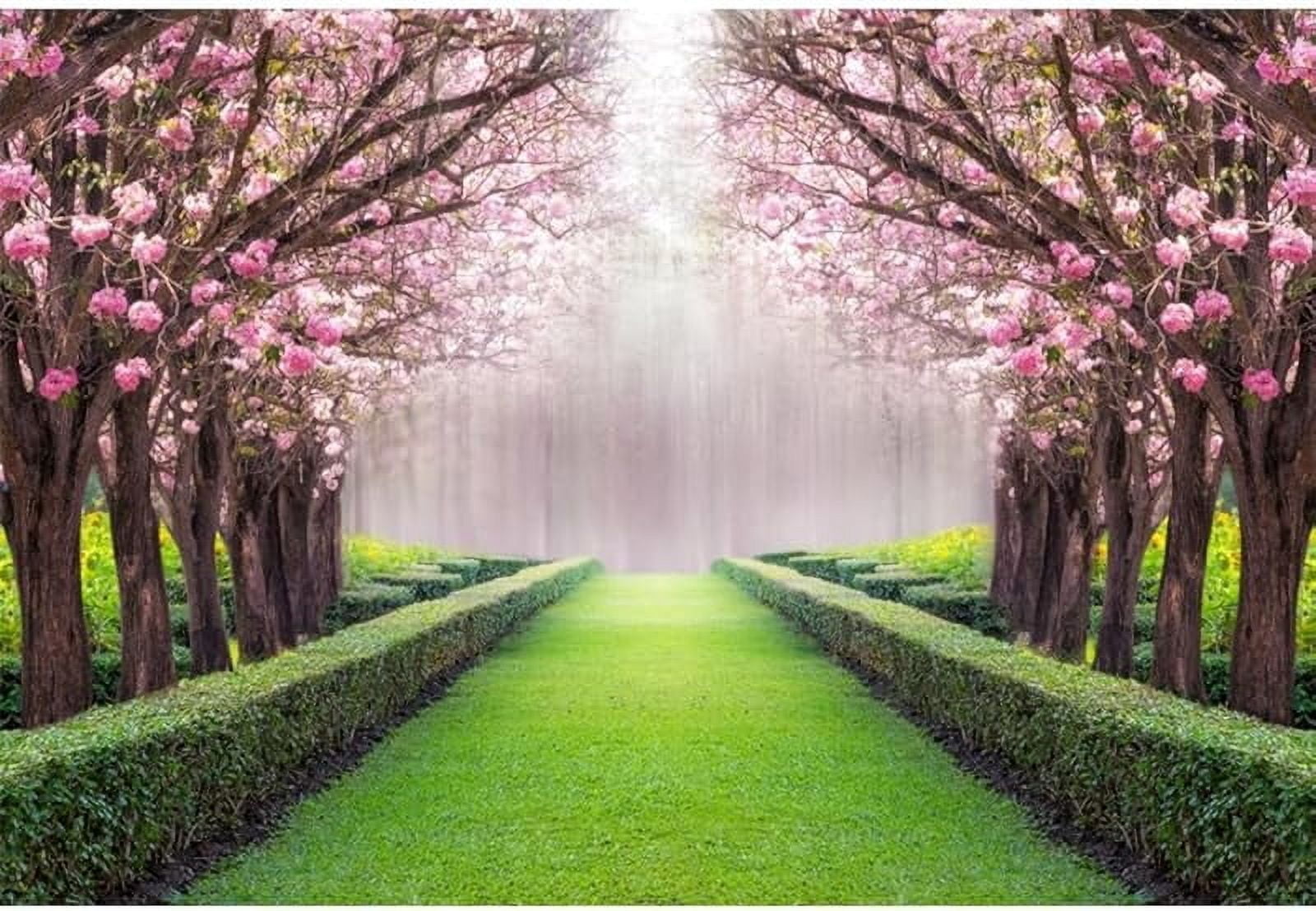 Spring Backdrop Cherry Blossom Green Grass Meadow Plants Countyard ...
