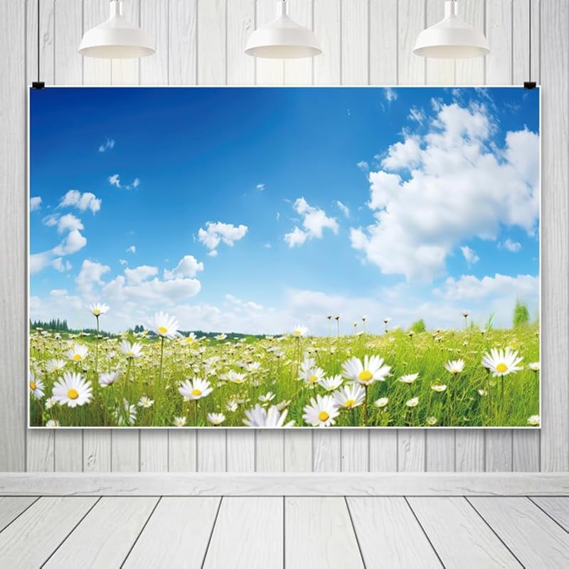 Spring Backdrop for Photography Blue Sky White Clouds Daisy Flowers ...