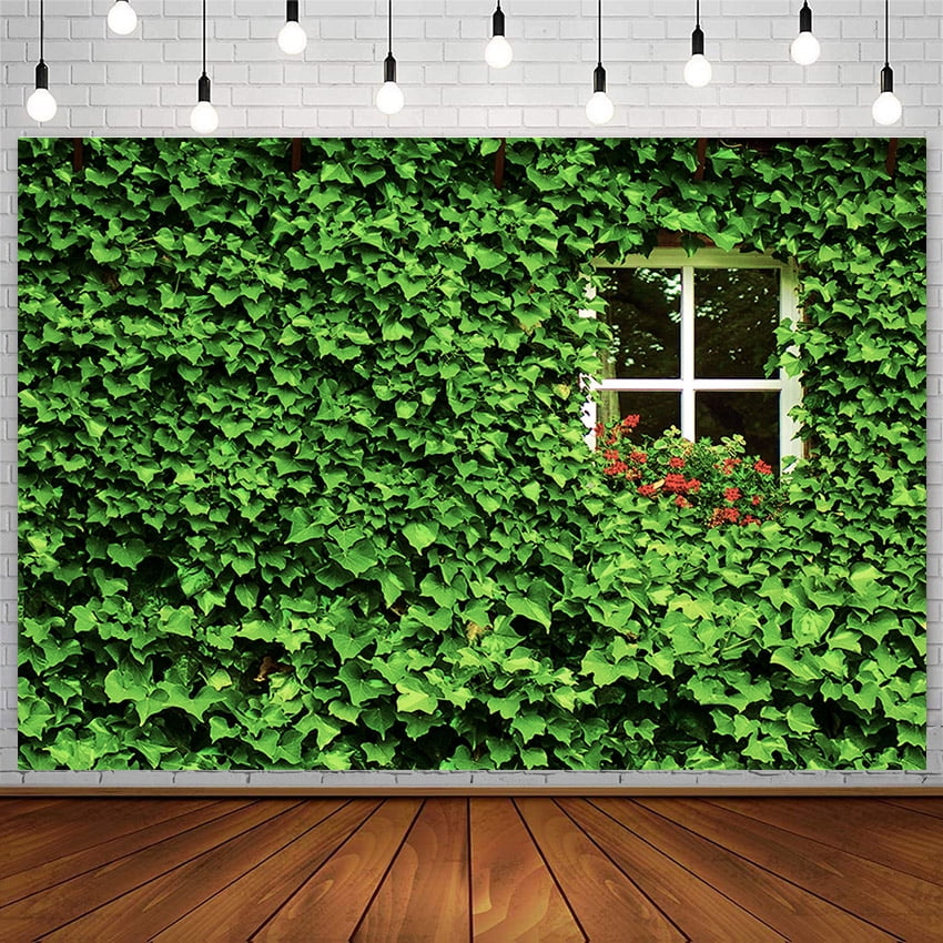 Spring Backdrop Window Green Leaves Portrait Photography Background ...