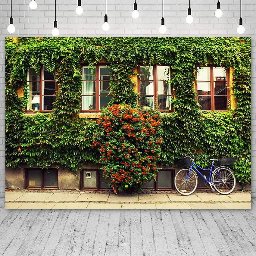 Spring Backdrops Flowers Gre Leaf Window Newborn Photography ...