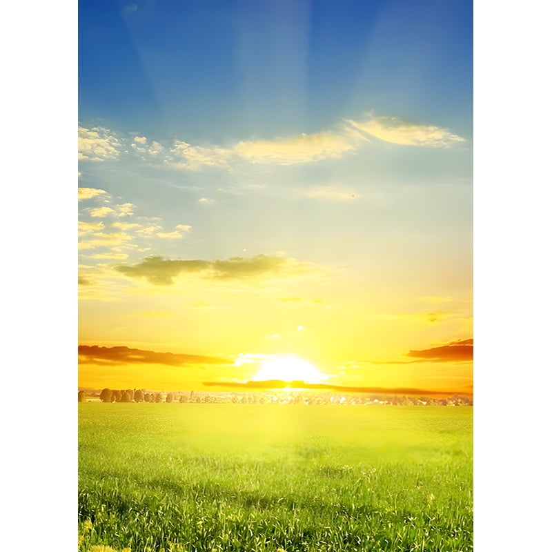 Spring Backdrops for Photography Green Grassland Sunshine Leaves ...