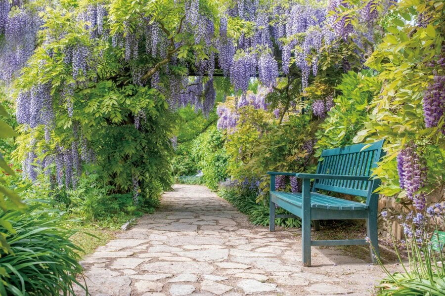 Spring Beautiful Garden Photography Backdrop Vintage Architecture ...