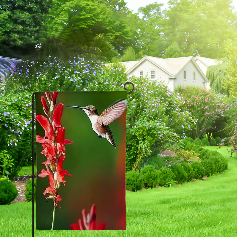 Spring Bird Cute Hummingbird Feeding on Cardinal Flower Red Flowers ...