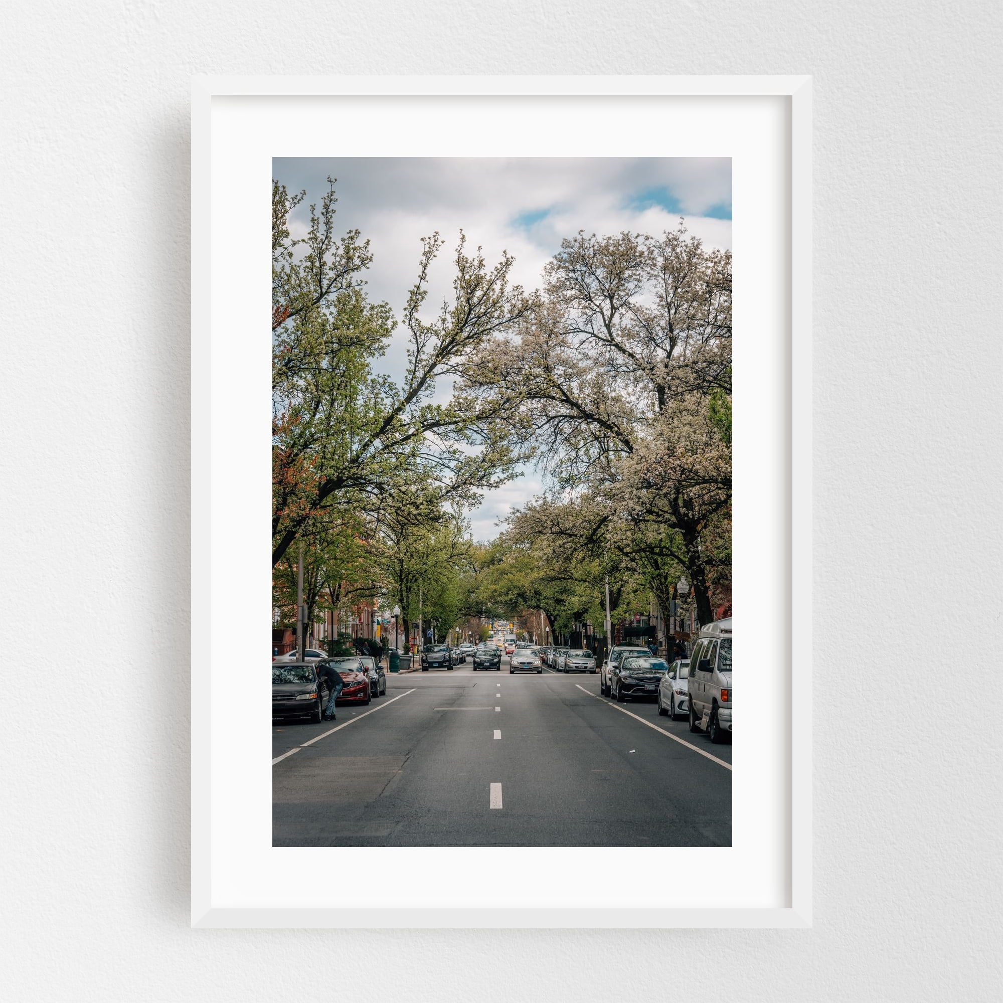 Spring Bloom on Charles Street - Baltimore Maryland Photography Street ...