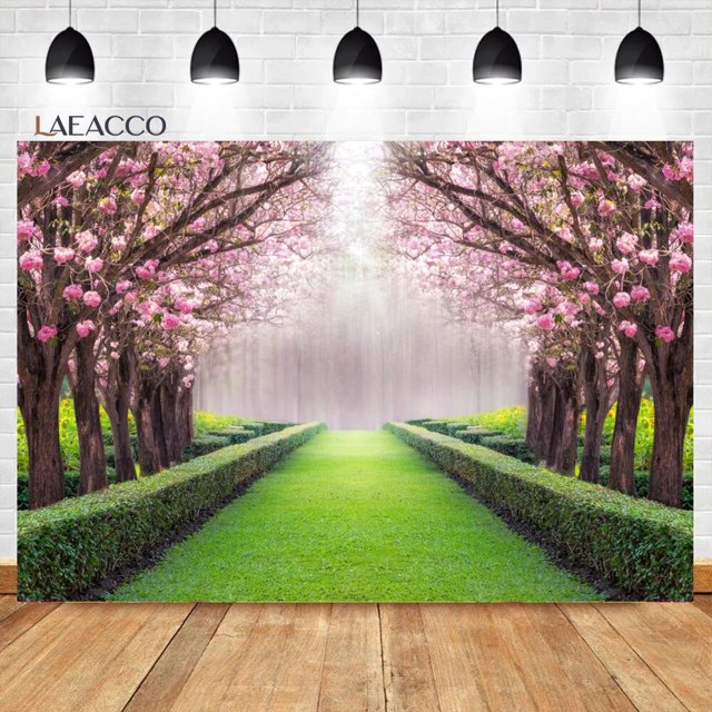 Spring Blossom Green Lawn Tree Flower Park Scenic For Wedding ...