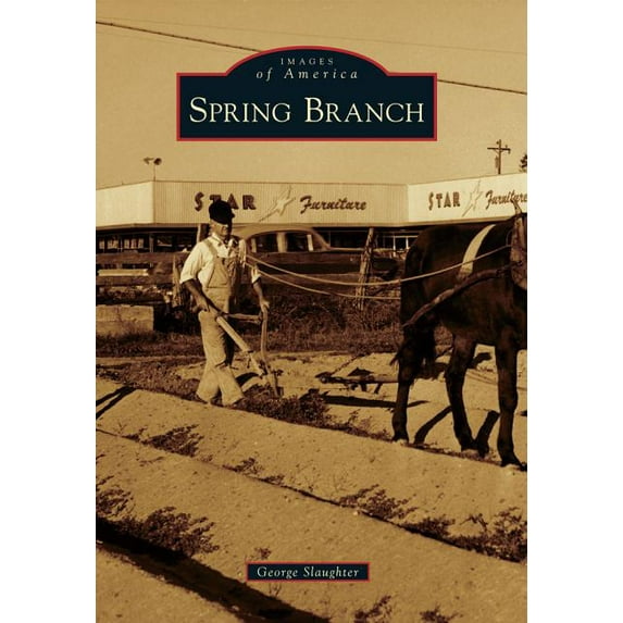 Spring Branch - Walmart.com