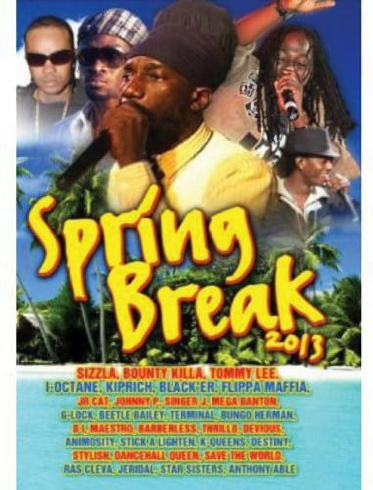 Spring Break 2013 (DVD) - Walmart.com