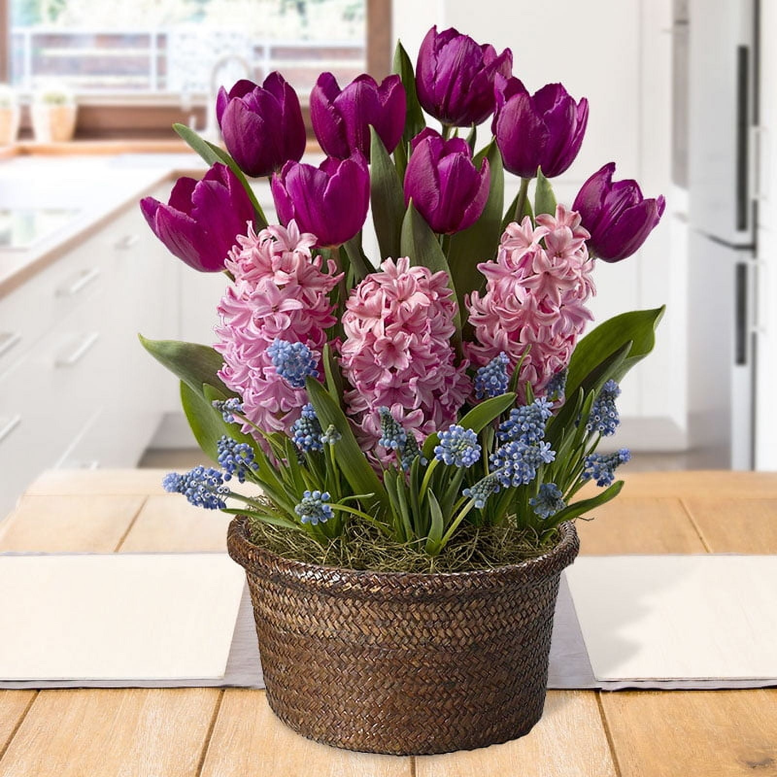 Spring Celebration Indoor Potted Bulb Garden - Simply Water and Flowers ...