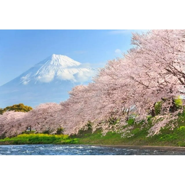 Spring Cherry Blossom Flowers River Boat Mountain Seaside Scenic ...